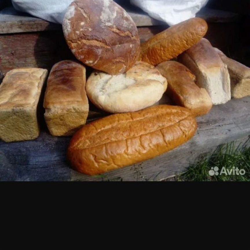 Хлеб на корм животным