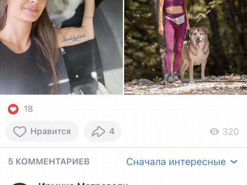 Маша. Метис Алабая. Приют Лазаревское