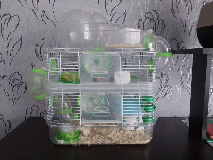 Клетка для грызунов