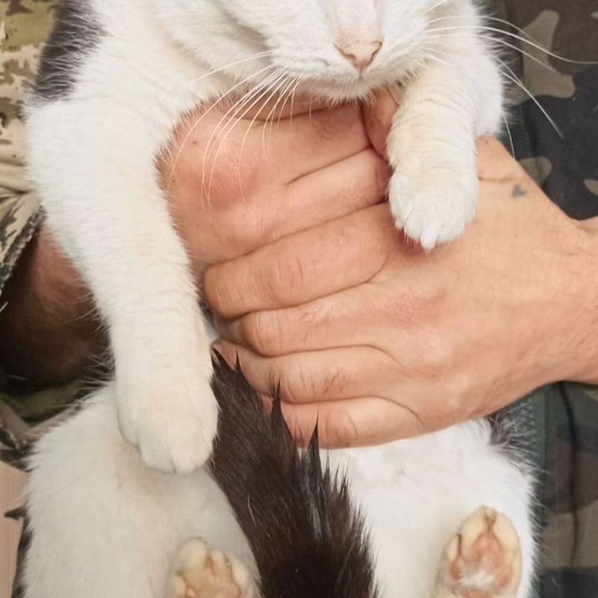 Очень нуждается в доме