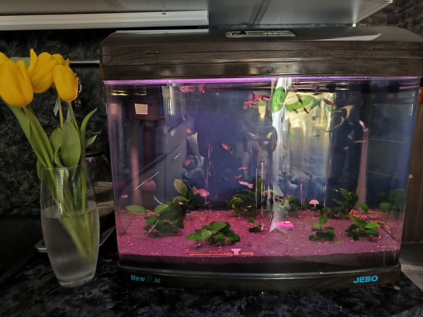 Аквариум jebo R362 100 л