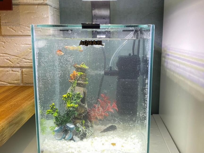 Aквариум aquael 10 л с оборудованием