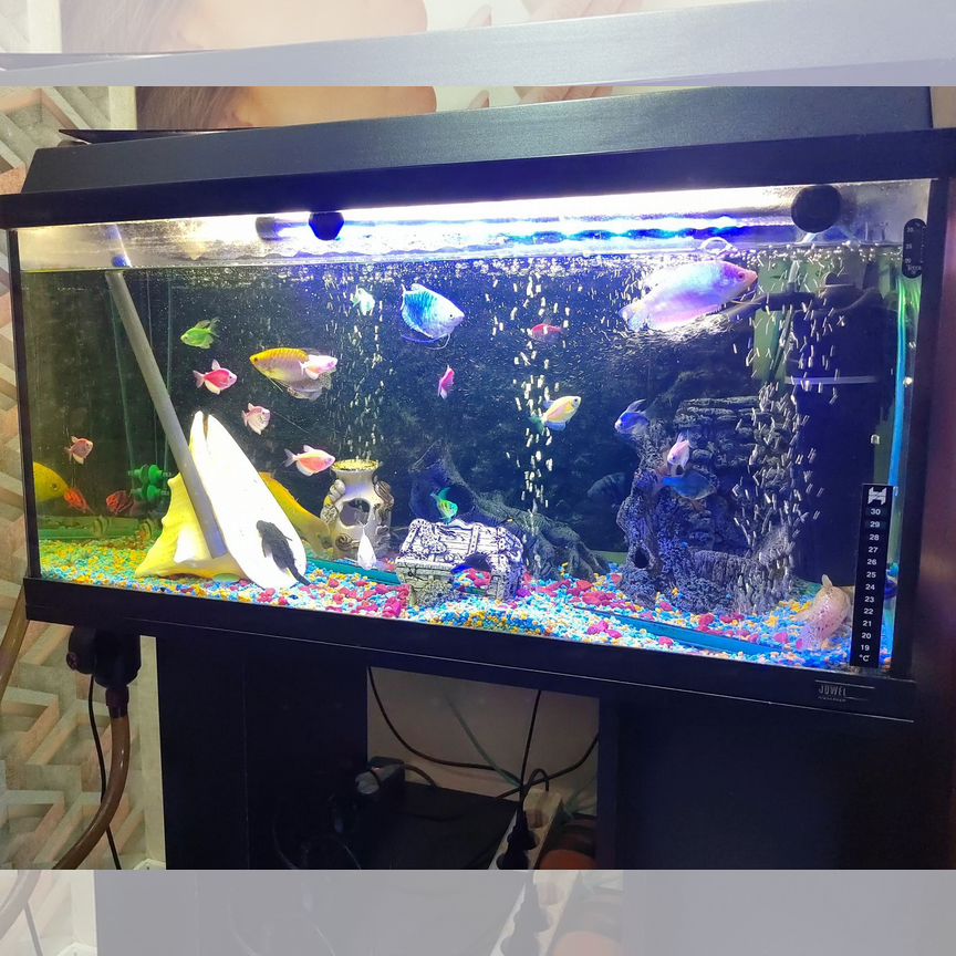 Аквариум с тумбой