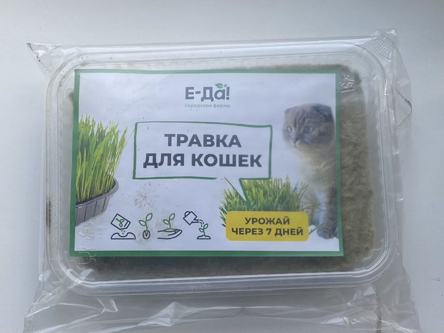 Трава для кошек