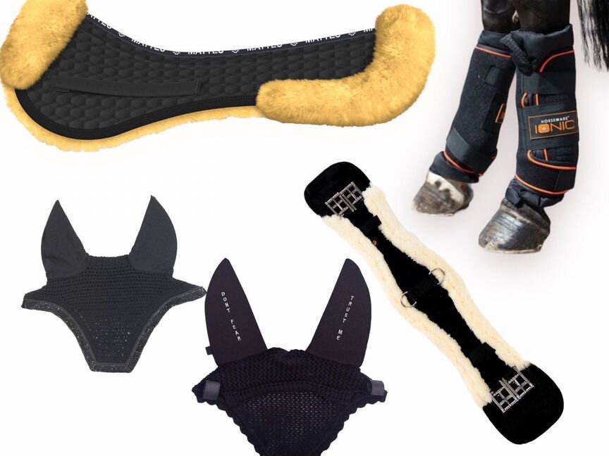 Снаряжение для лошади,QHP, Mattes, rambo, Kentucky