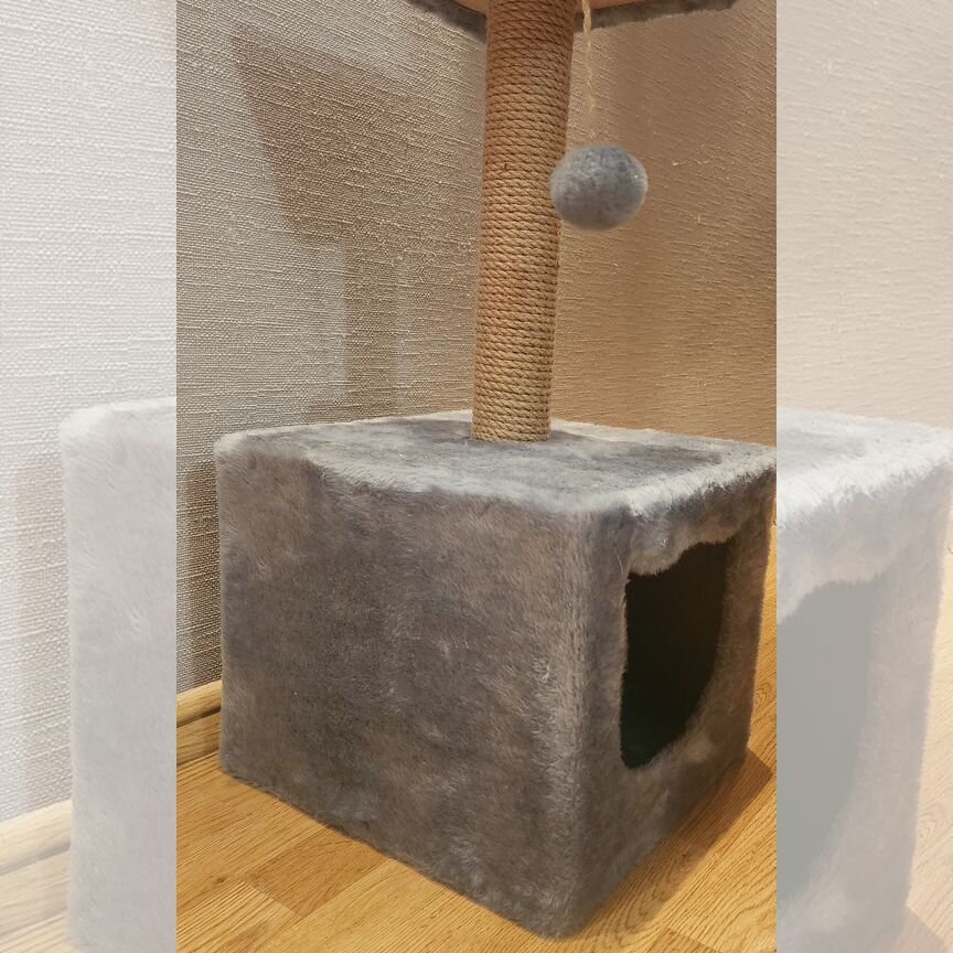 Когтеточка