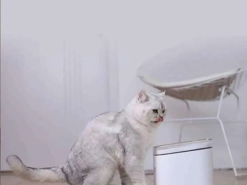 Фонтан поилка для животных Xiaomi Mijia