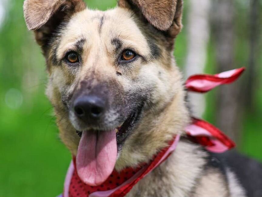 Родители Я тут, жду вас