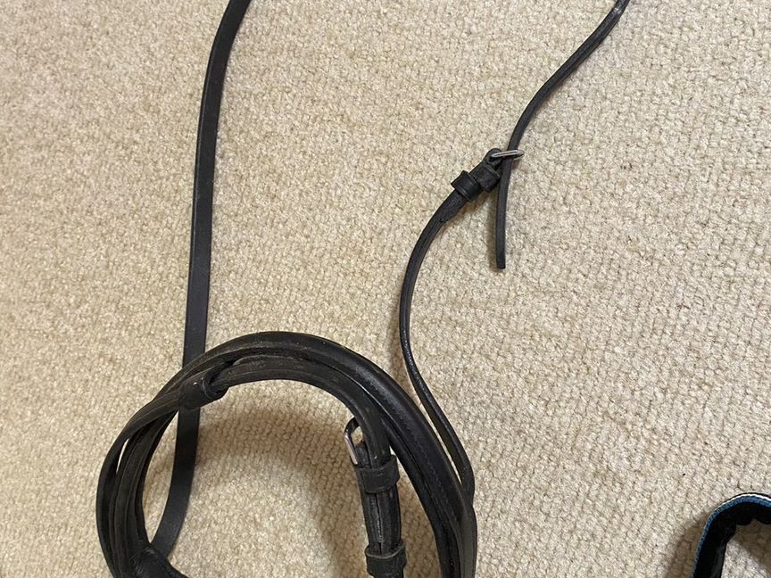 Капсюль для лошади