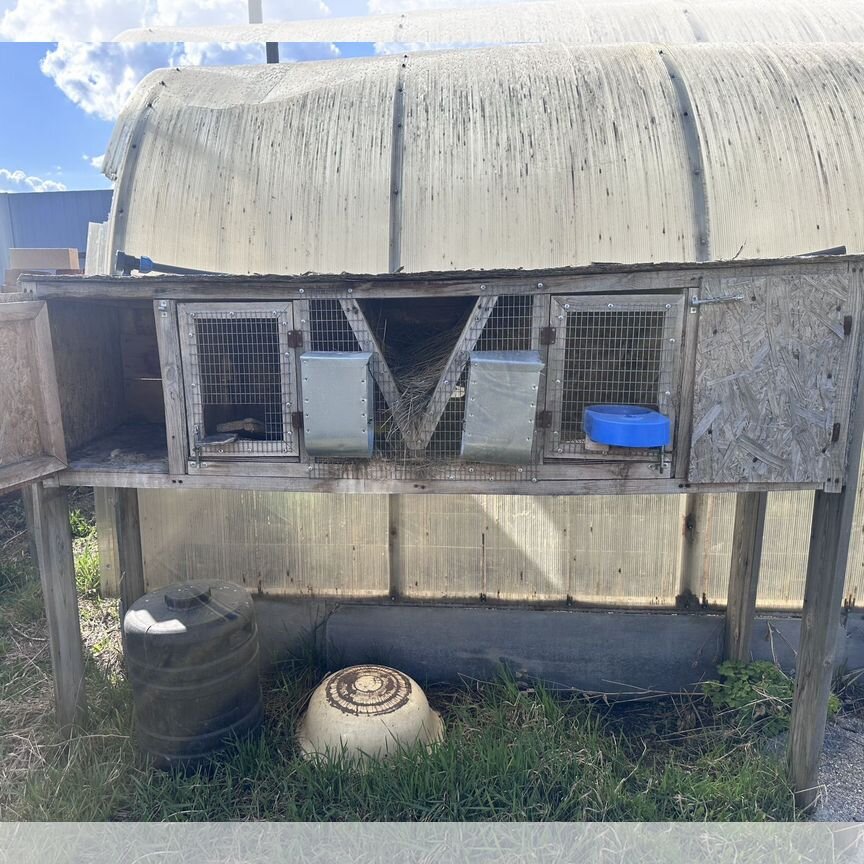 Крольчатник