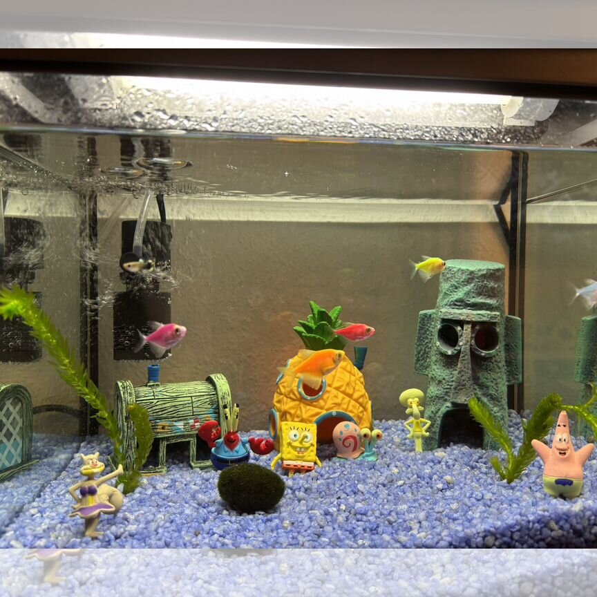 Аквариум tetra с рыбками