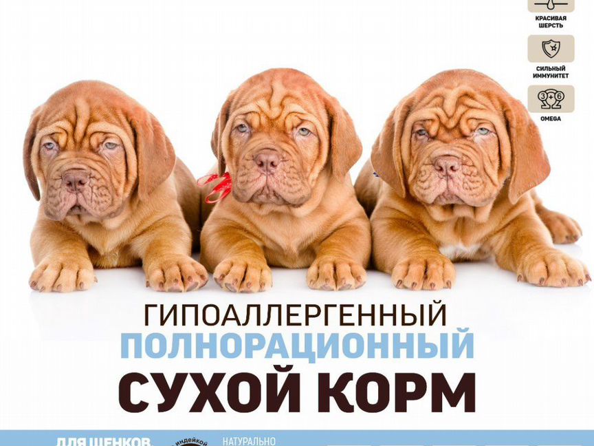 Корм для собак «Кунак»