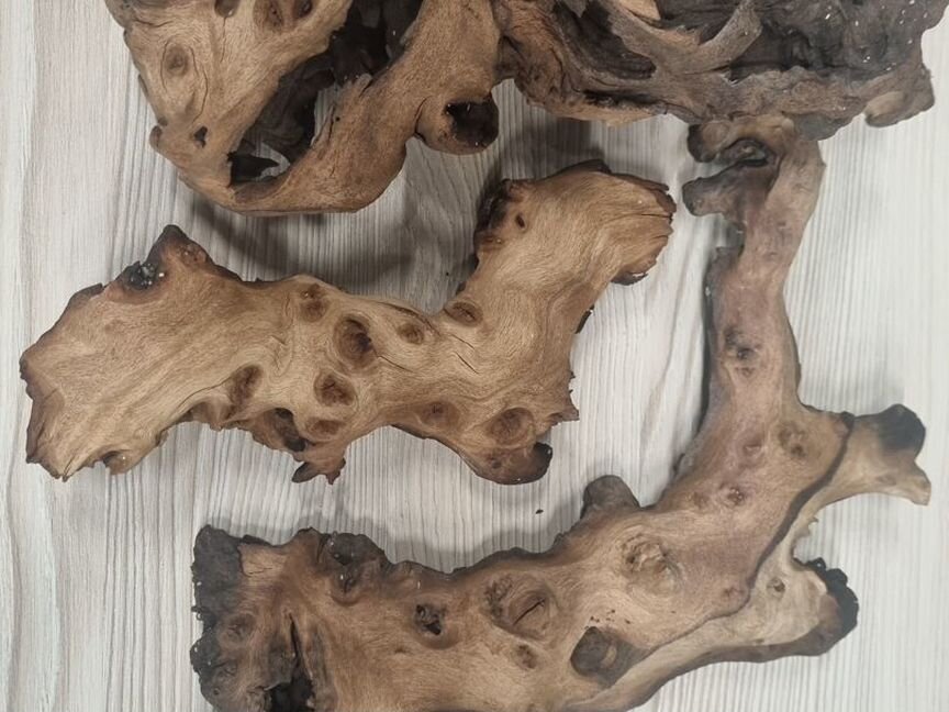 Коряги Мопани + грунт