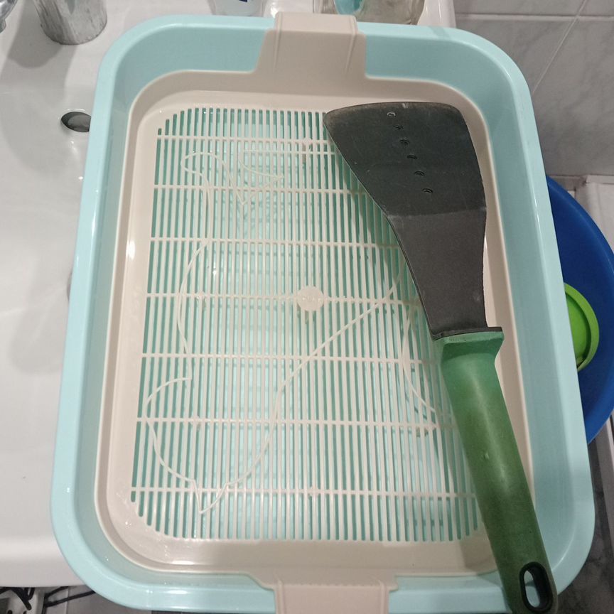 Лоток для котят