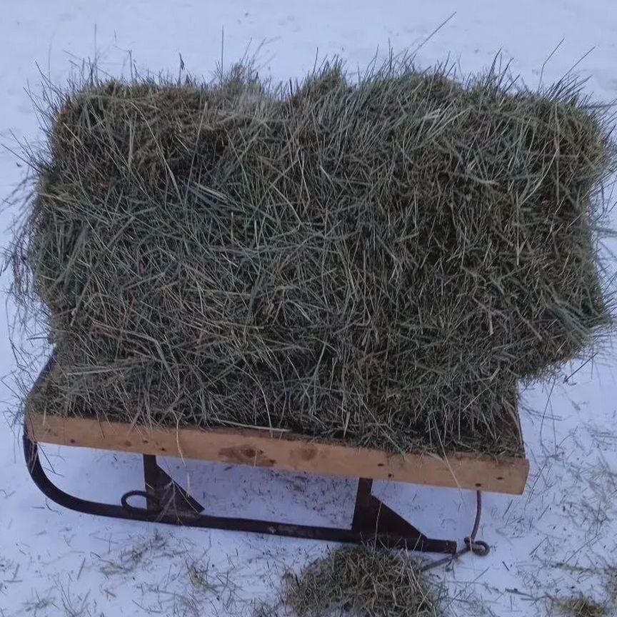 Сено в тюках