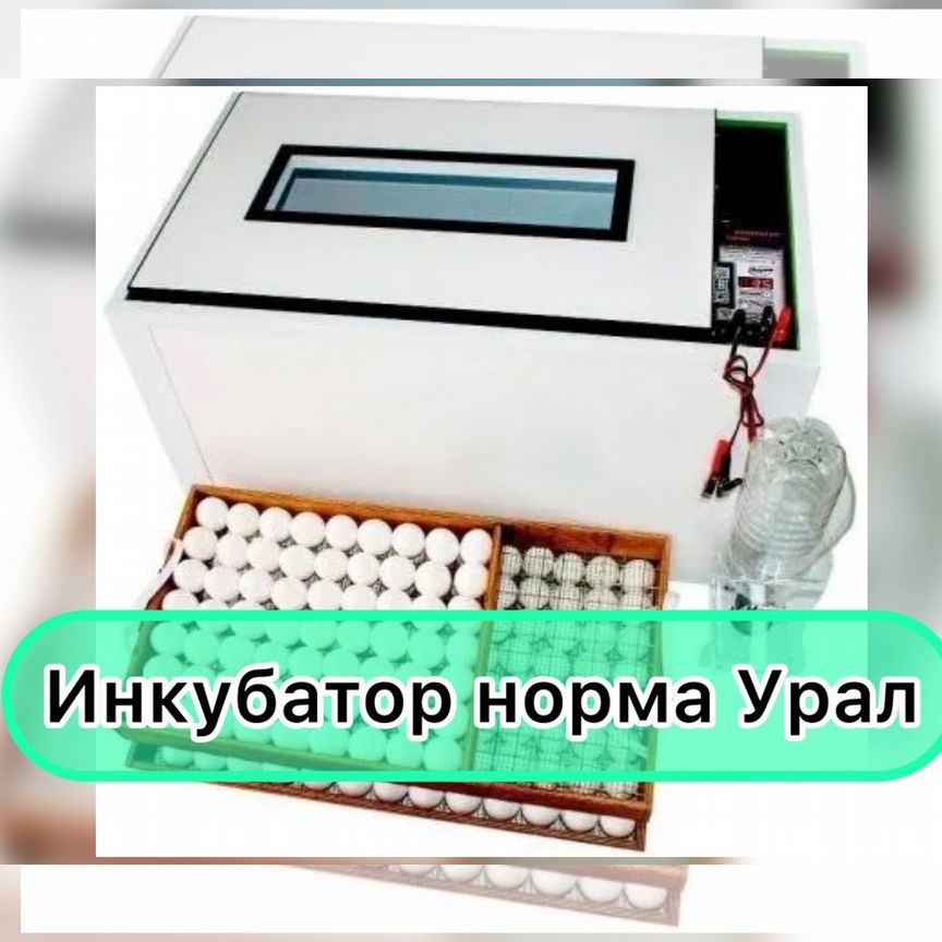 Инкубатор для яиц автоматический норма урал