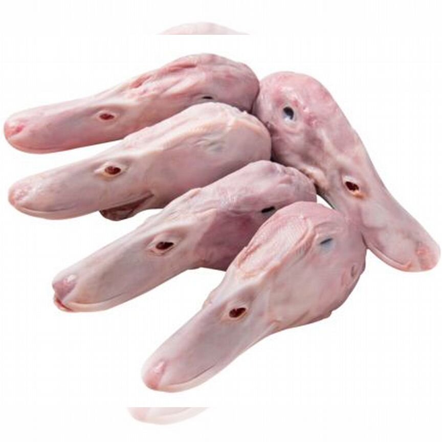 Головы утки