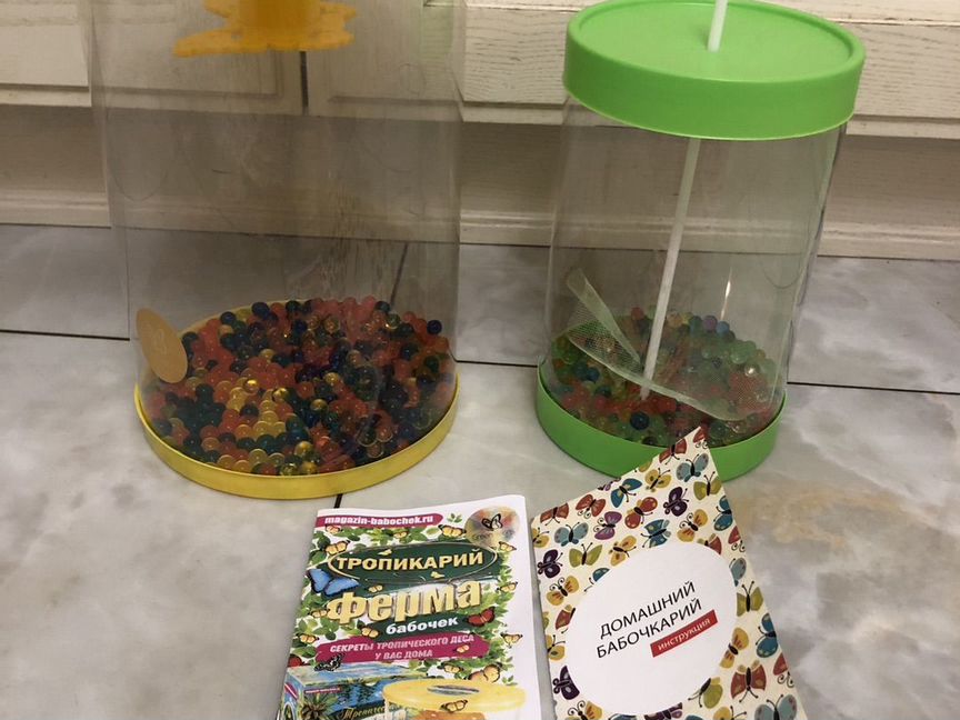 Бабочкарий -ферма бабочек
