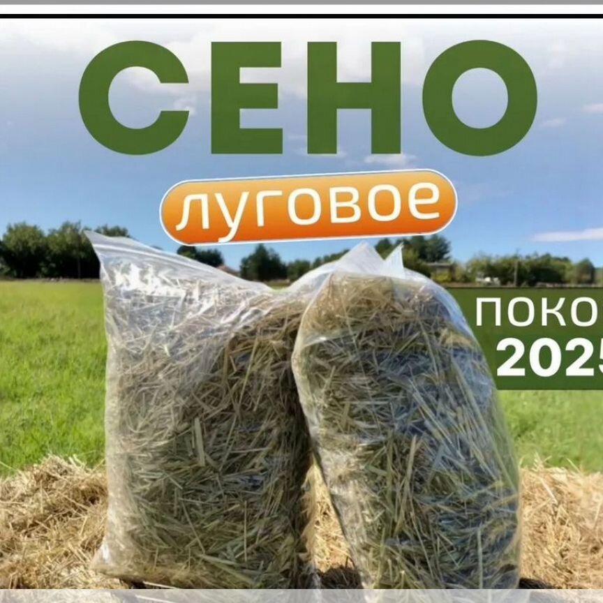 Сено пакет 40на50