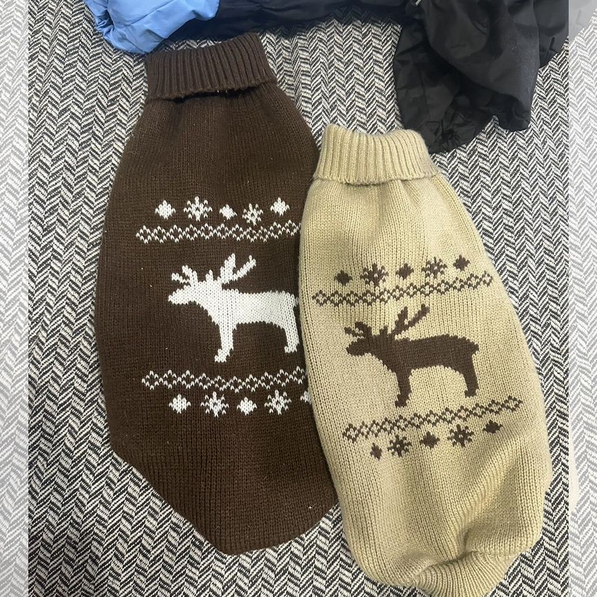 Вещи для маленьких собак