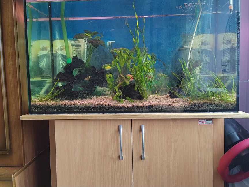 Аквариум с тумбой бу