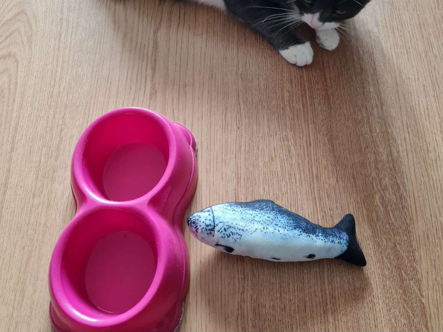 Миска для животных +игрушка для кота кошки котёнка