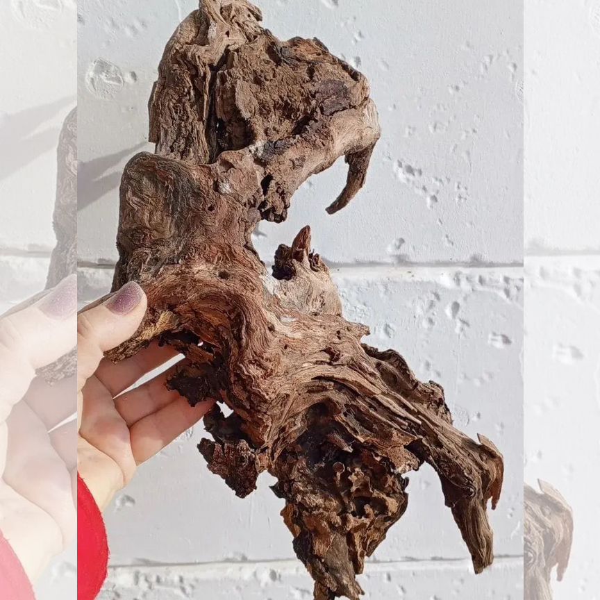 Коряги для аквариумов и террариумов