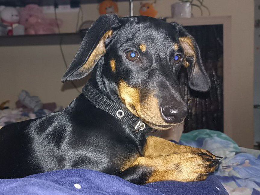 Добрая девочка Тася