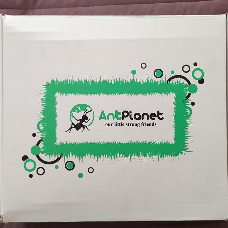 Муравьиная ферма antplanet