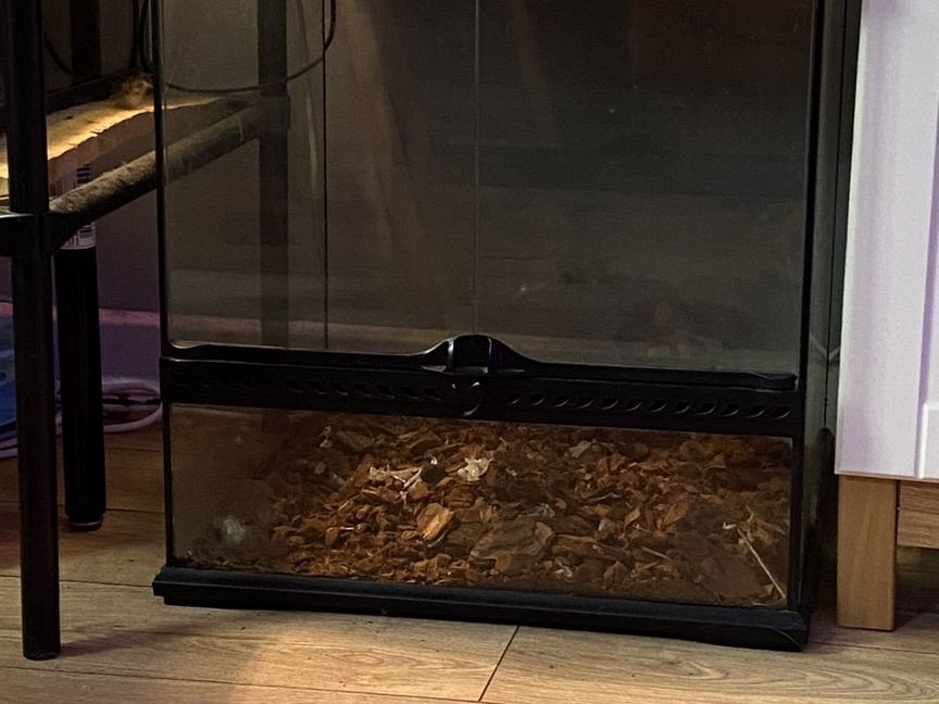 Террариум 45/45/45 exoterra