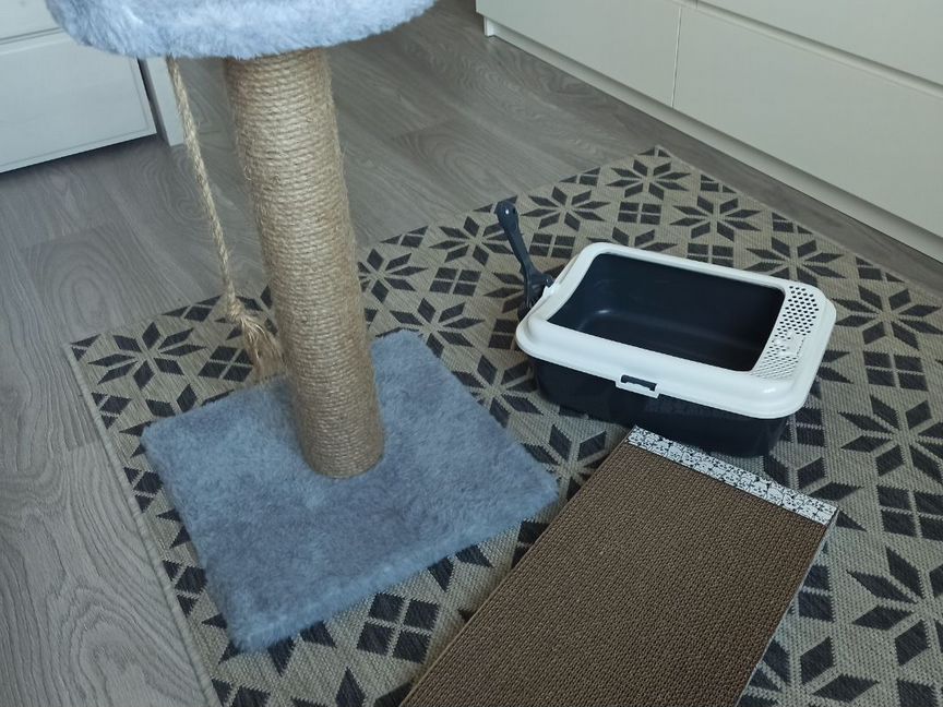 Когтеточка столб, туалет лоток, когтеточка картон