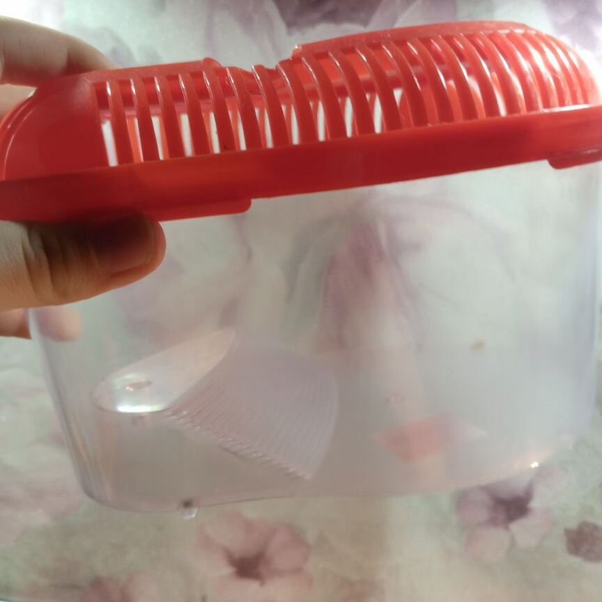 Переноска для черепах