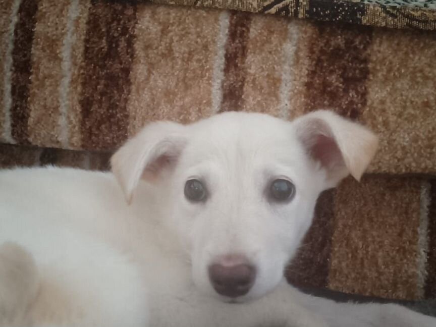 Неизвестная