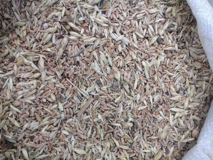 Зерноотходы пшеница