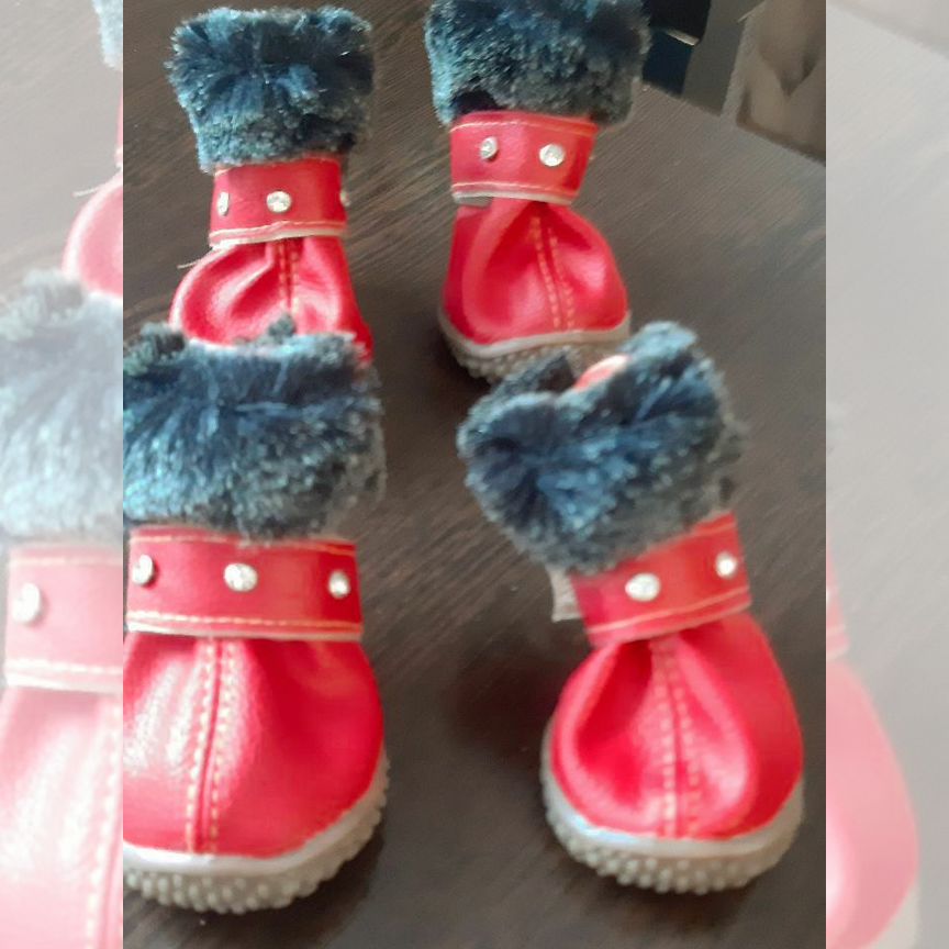 Продам обувь для собачки