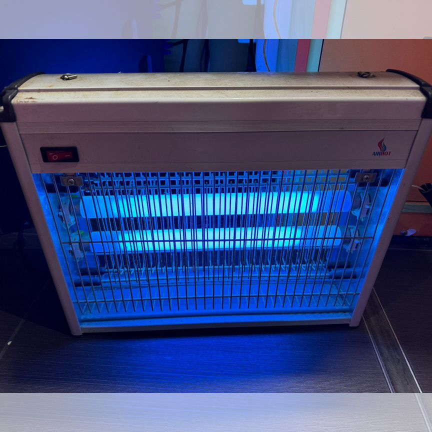 Ловушка для насекомых