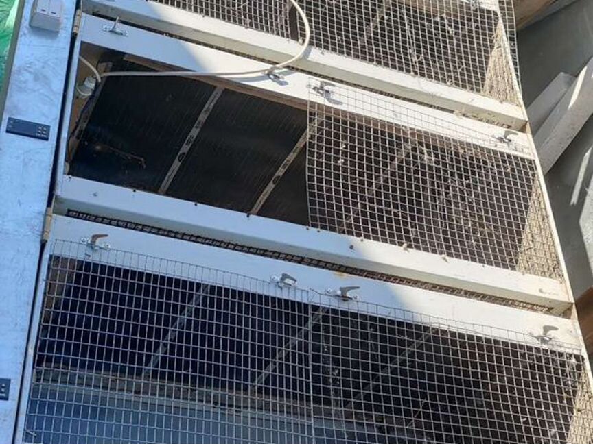 Клетка-брудер для перепелов бу