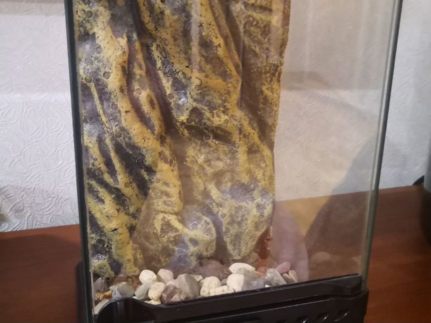 Террариум exo terra nano 20x20x30