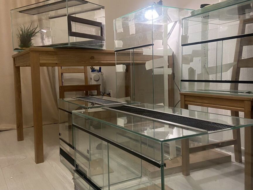 Террариум на заказ