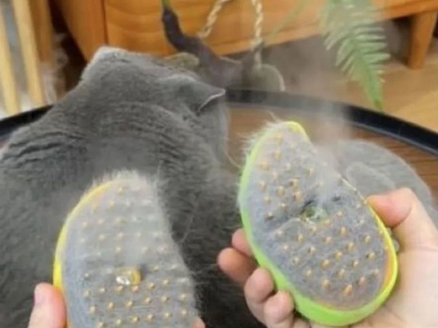 Паровая щетка для животных