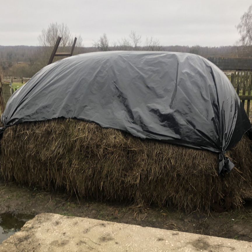 Продам сено