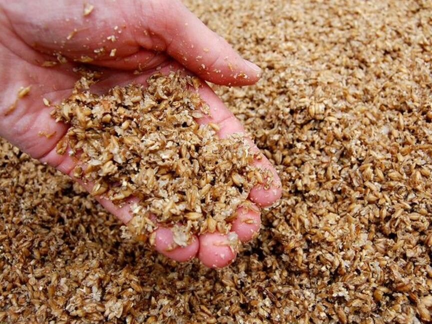 Пивная дробина