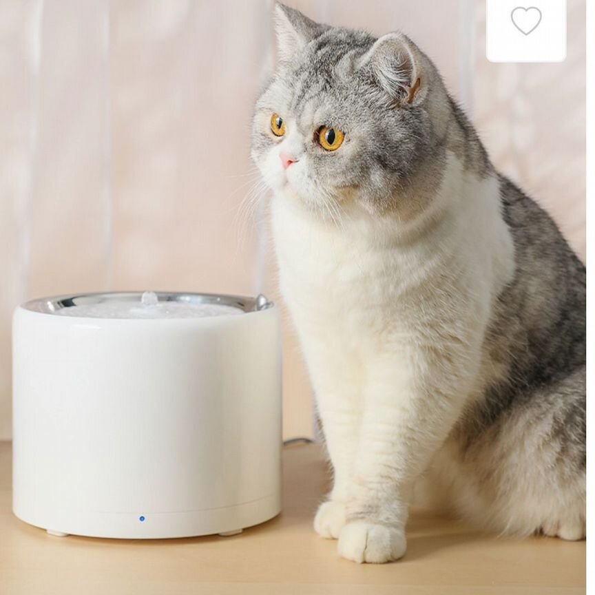 Питьевой фонтанчик Petkit