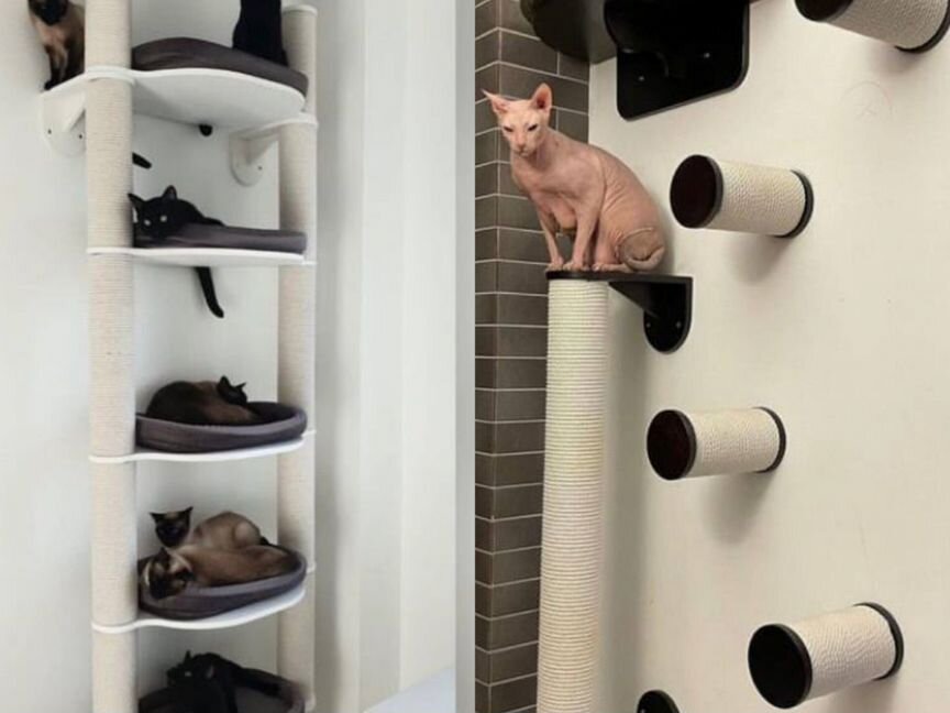 Когтеточка домик