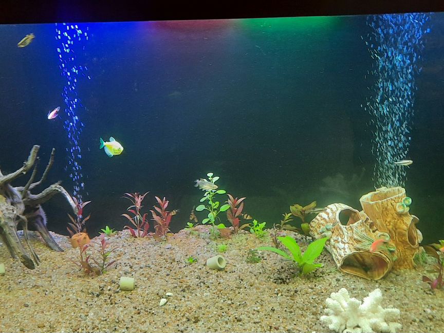 Аквариум с тумбой juwel rio 300