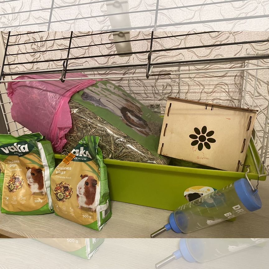 Клетка для морской свинки ferplast