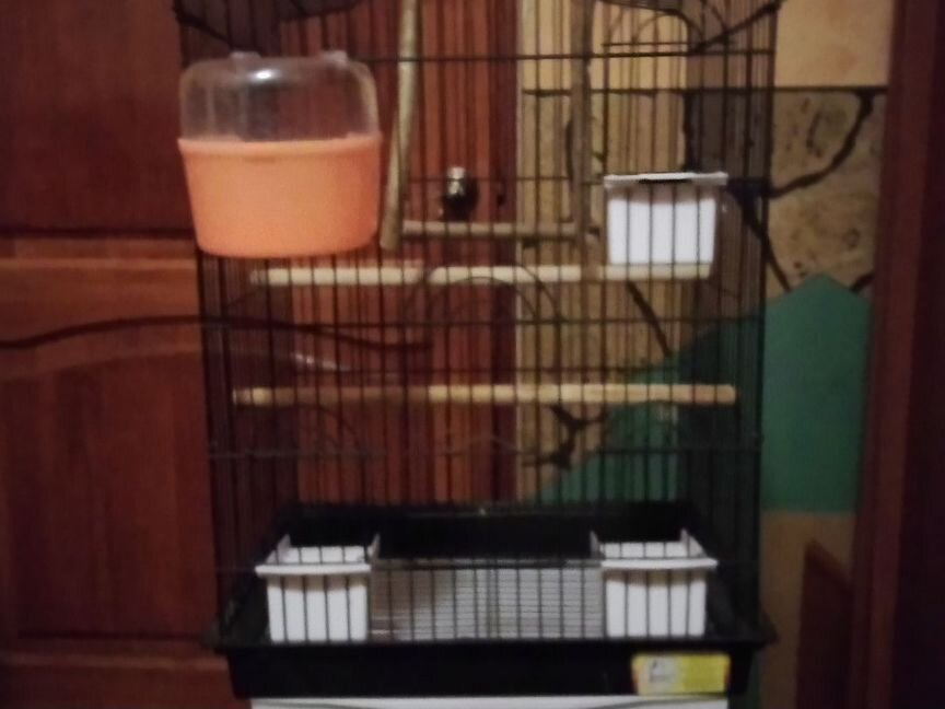 Клетка для попугая