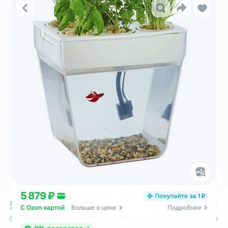 Акваферма
