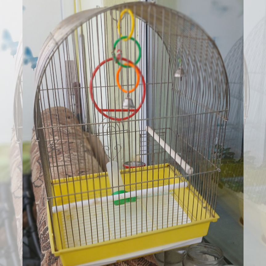 Клетка для попугая