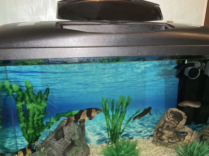 Аквариум с рыбками 150 литров